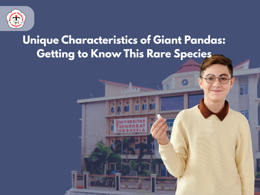 Unique Characteristics of Giant Pandas: Getting to Know This Rare ...